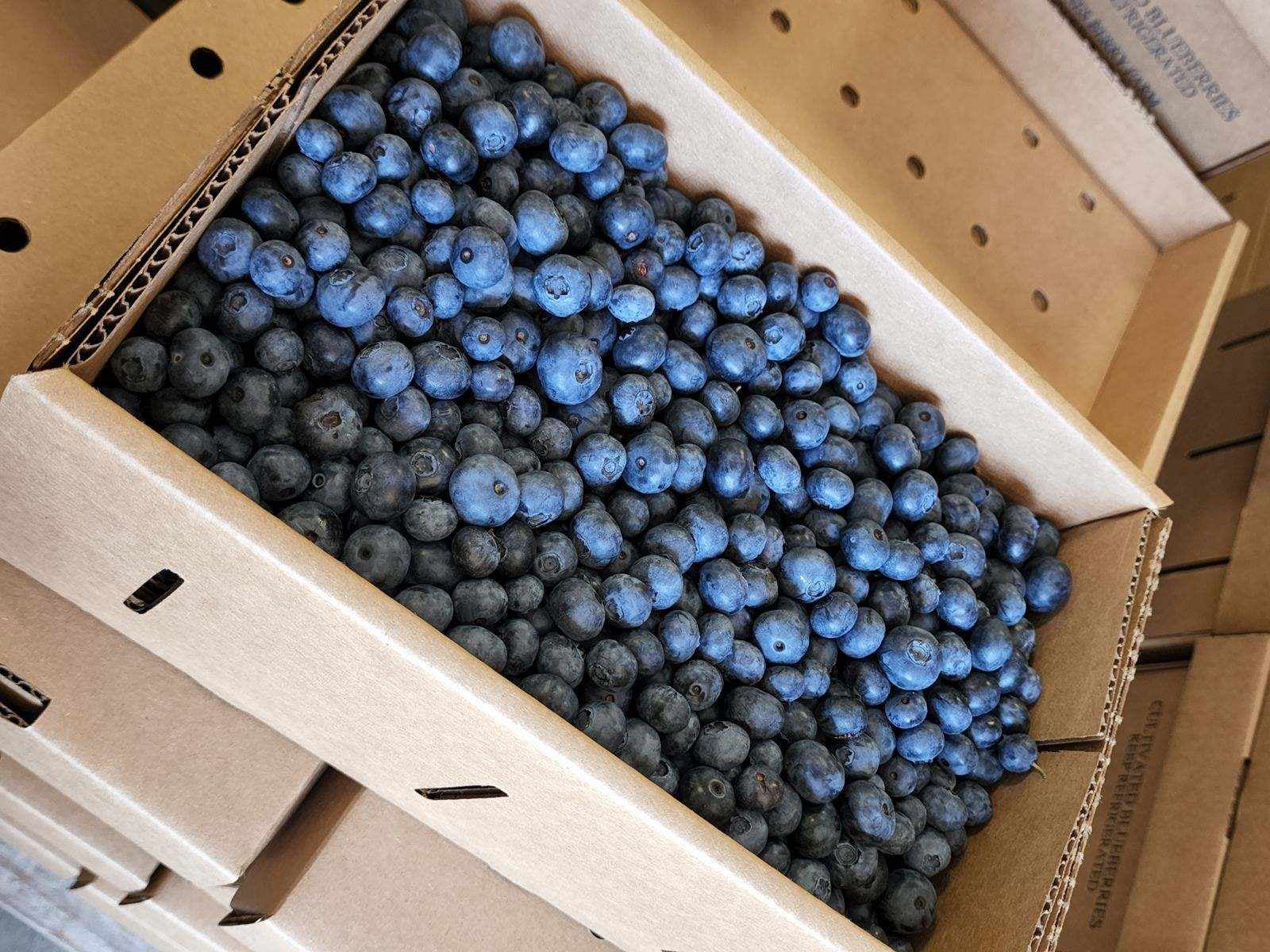 Pre-picked 10 lb. BOX (loose) | Haines Berry Farm